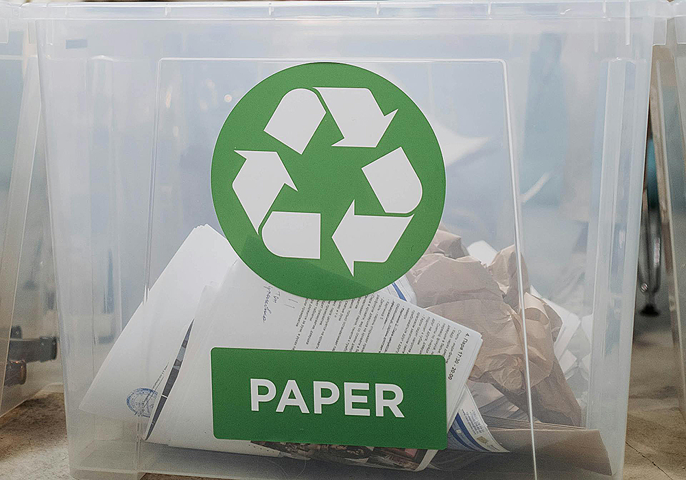 The Paper Trail: A Step-by-Step Guide to Effective Office Paper ...